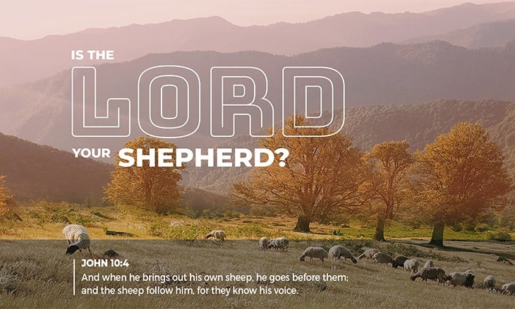 Weekly Devotionals – 15 February 2021 | Lighthouse Evangelism